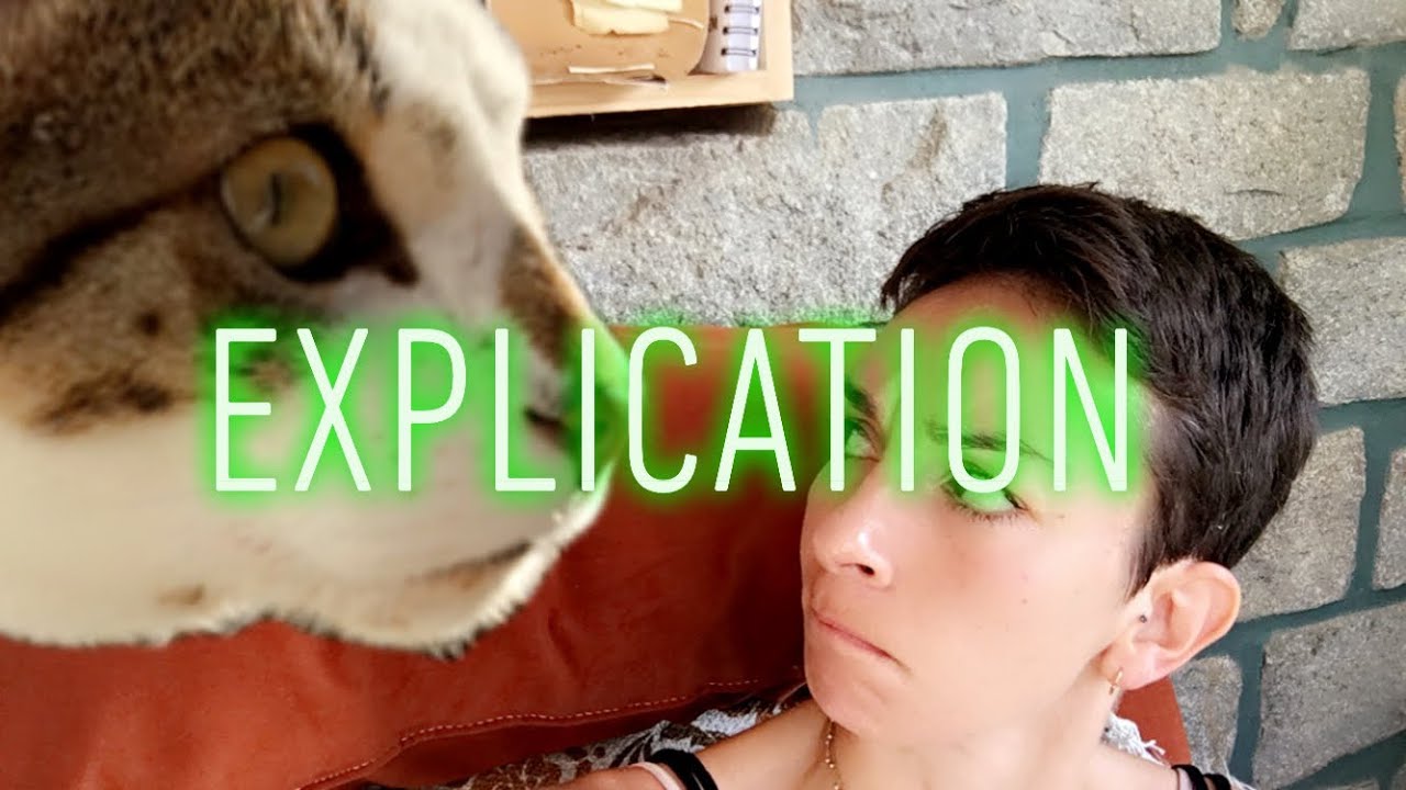 Explication (rapide) - YouTube