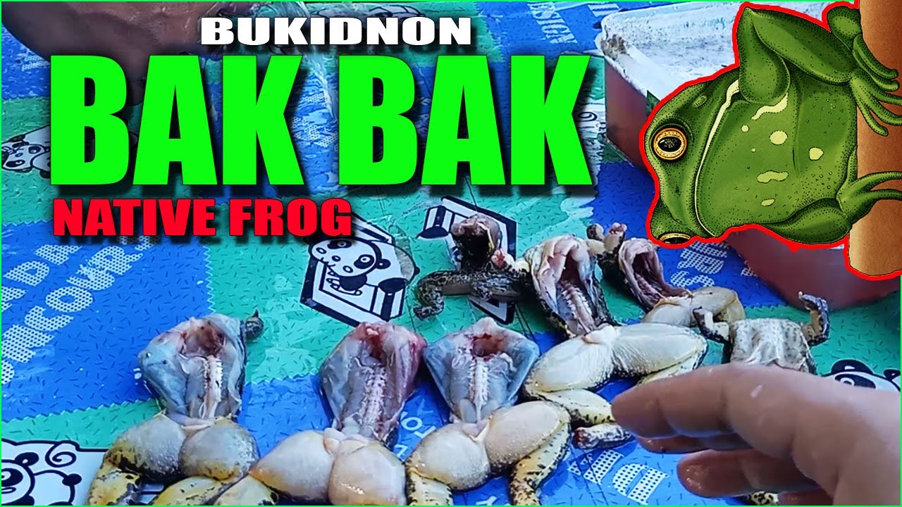 HUNTING & EATING " BAK-BAK " FROG SO DELICIOUS & YUMMY - YouTube