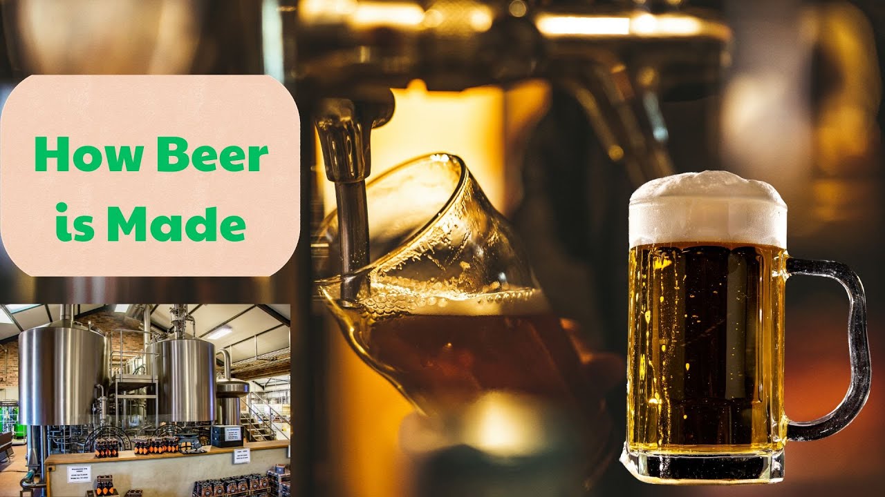 How Beer is Made in a Factory - YouTube