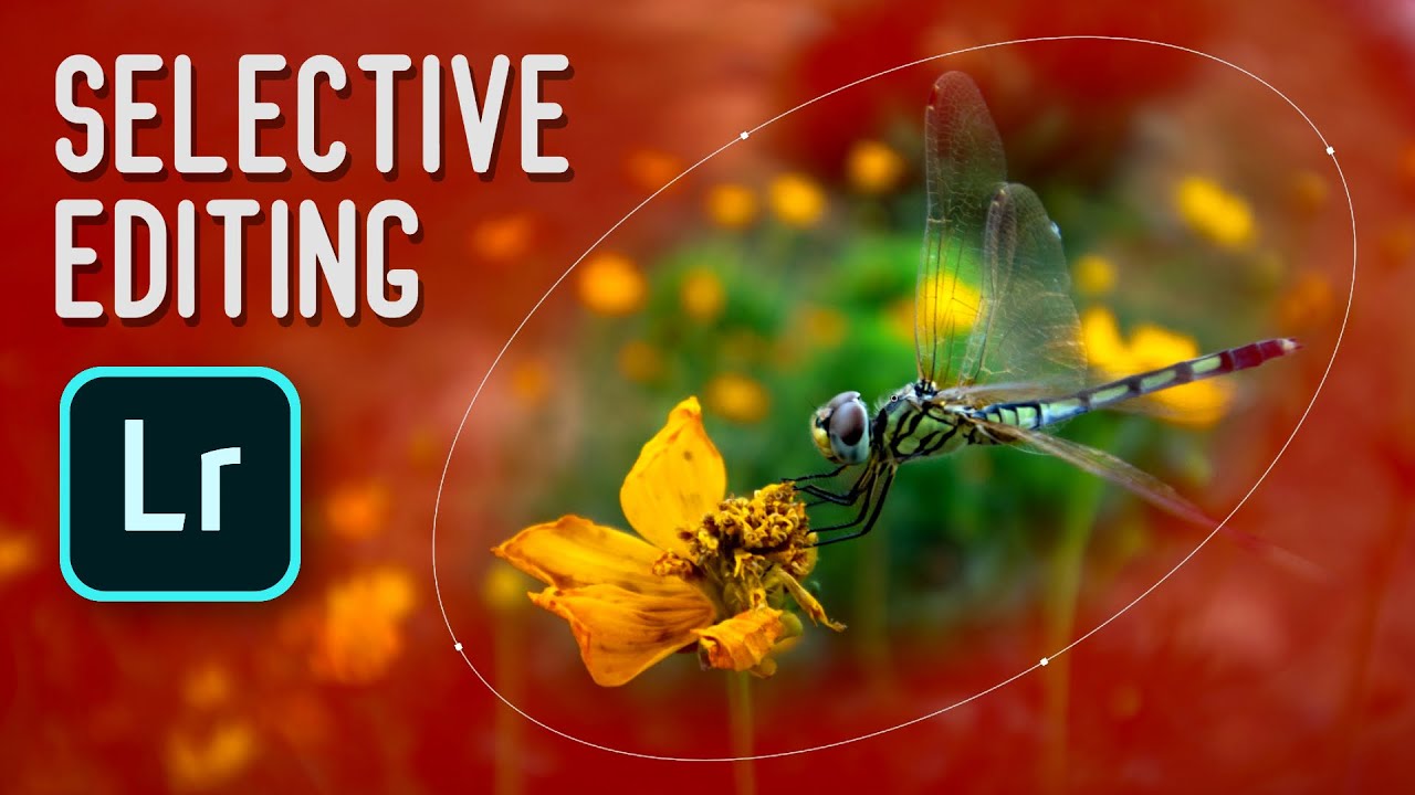 Adobe LIGHTROOM Selective Editing - Radial Filter (Hindi) - YouTube