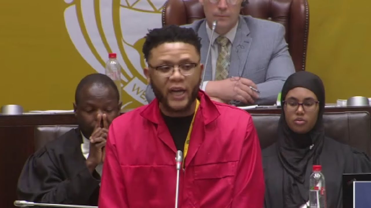 EFF Vuyani Pambo – GNU Is Led By Illiterate DA. This Is The Mediocrity ...