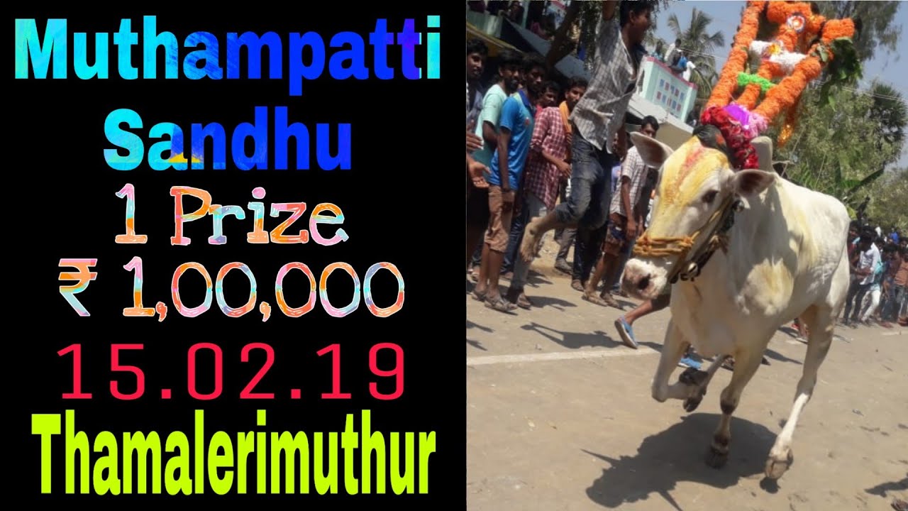 Muthampatti Sandhu 1 Prize (₹1,00,000) in Thamalerimuthur in 15.02.19 ...
