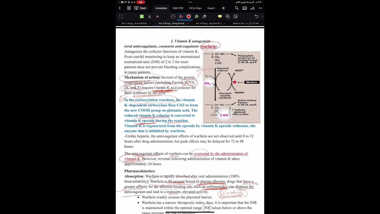Pharma lec4 part 4 - YouTube