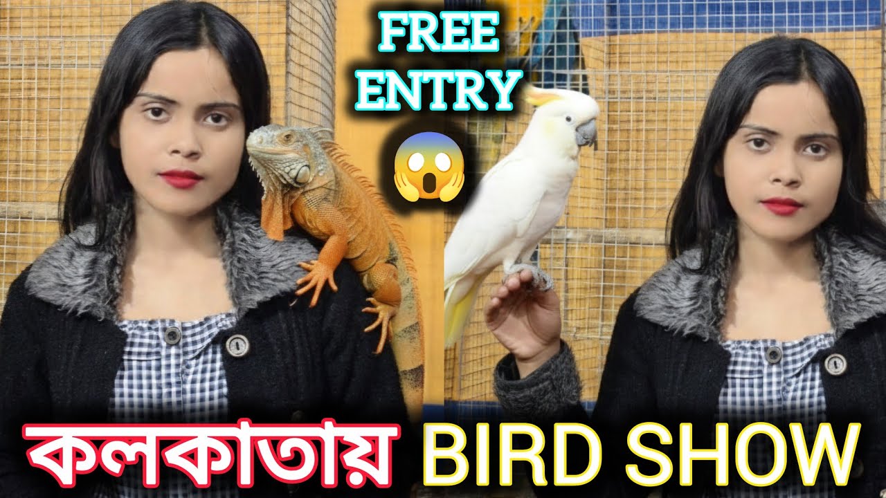 Kolkata Bird Show 🐦 | Rare Birds, Ticket Price & Full Experience - YouTube