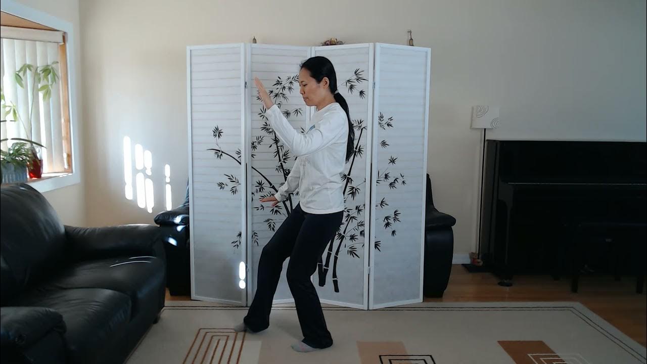 Tai Chi Yang Style 37 Form, Movements 10-12 Mirror Image - YouTube