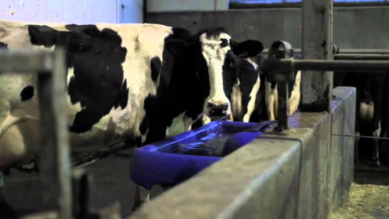 Alex Huisman Testimonial - YouTube