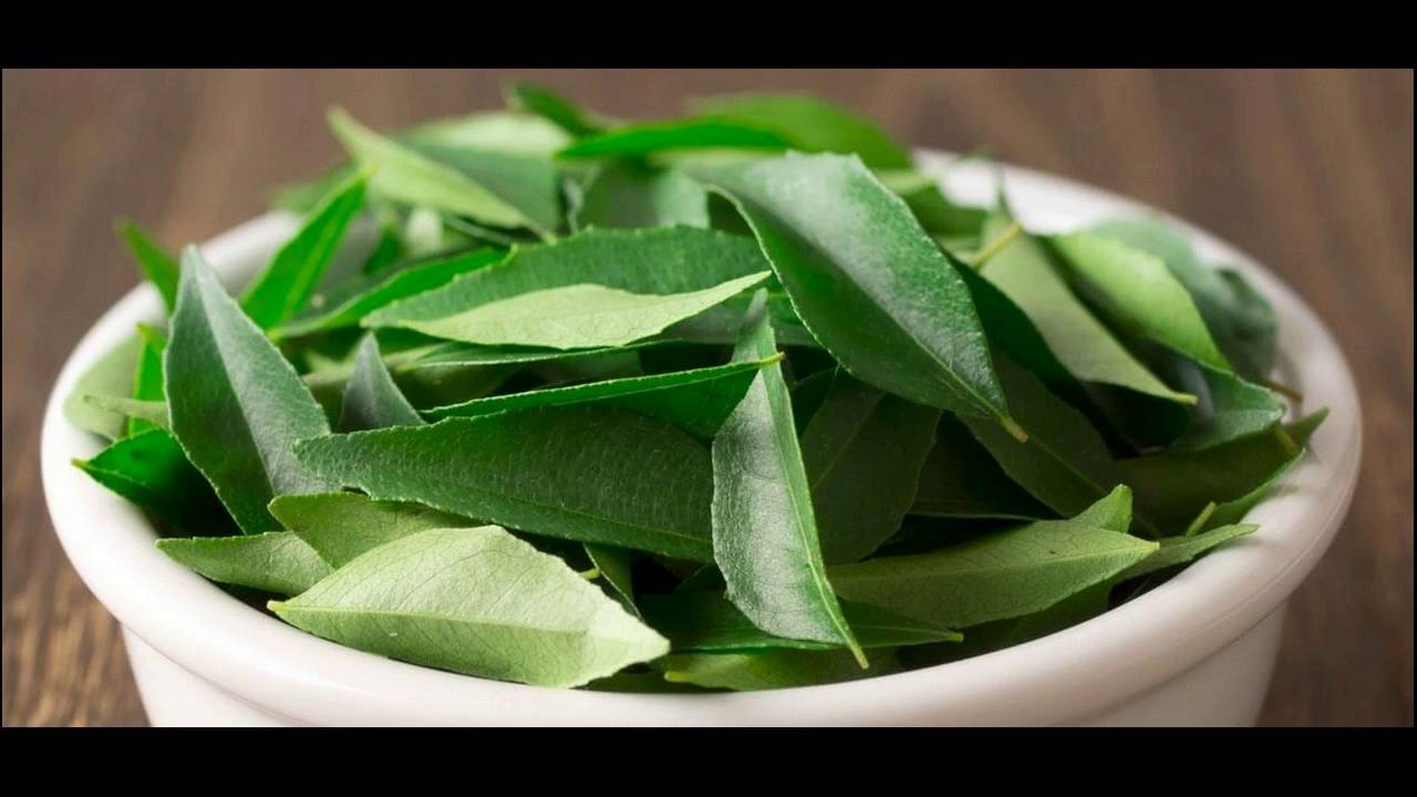 Homemade Curry Leaves And Coconut Oil Massage Mask Prevents Premature Homemade Curry Leaves And Coconut Oil Massage Mask Prevents Premature