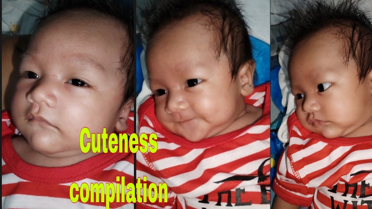 Cuteness Overload Youtube