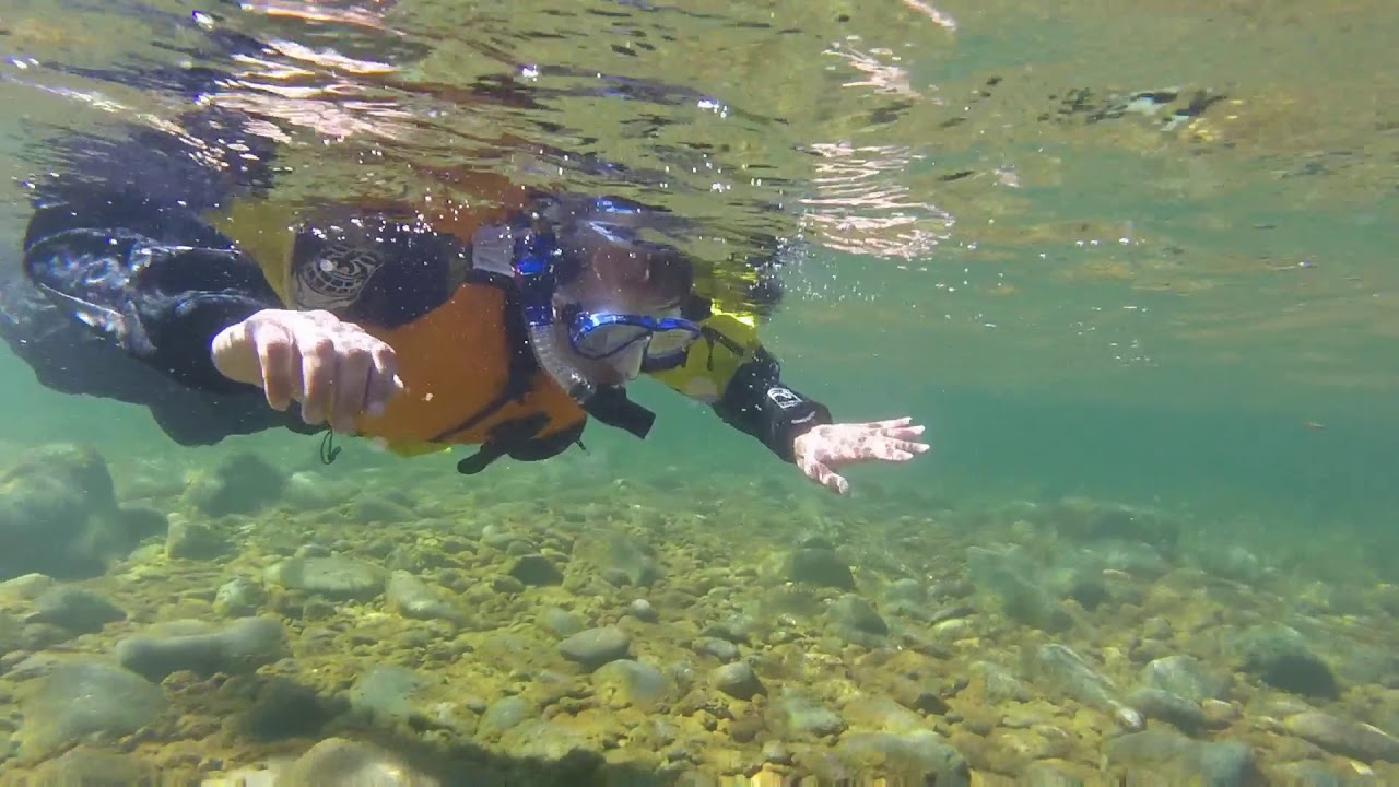 A quick swim with a few fish - YouTube