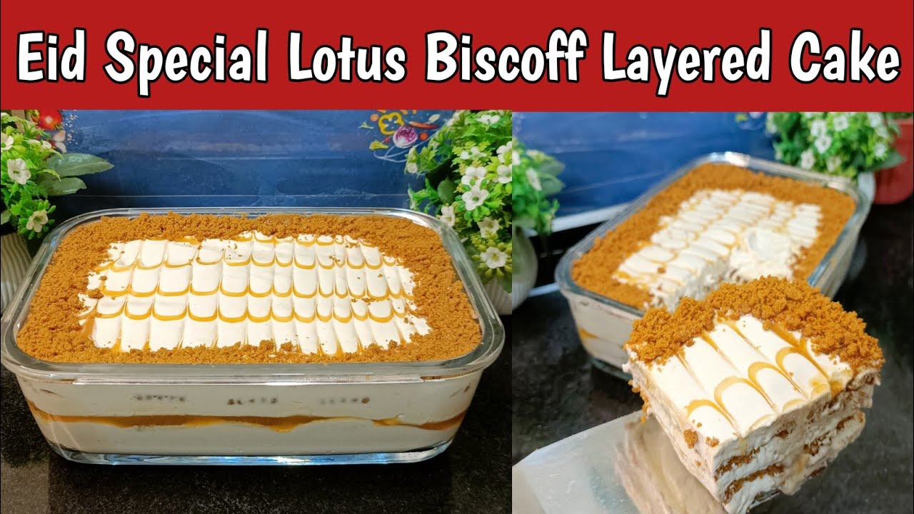 Lotus Biscoff Layered Cake | No-Bake Lotus Pudding Cake | Eid Special Cold Dessert - YouTube