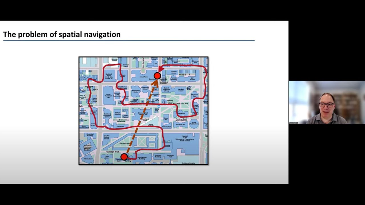Prof Russell Epstein on "Cognitive maps, navigational strategies, and ...