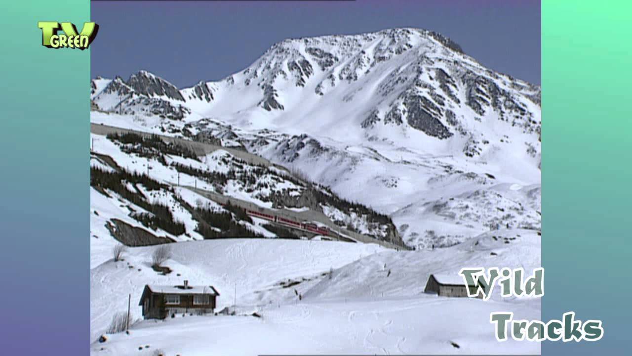 Wild Tracks: Alpine Track - Swiss Alps #03 - YouTube