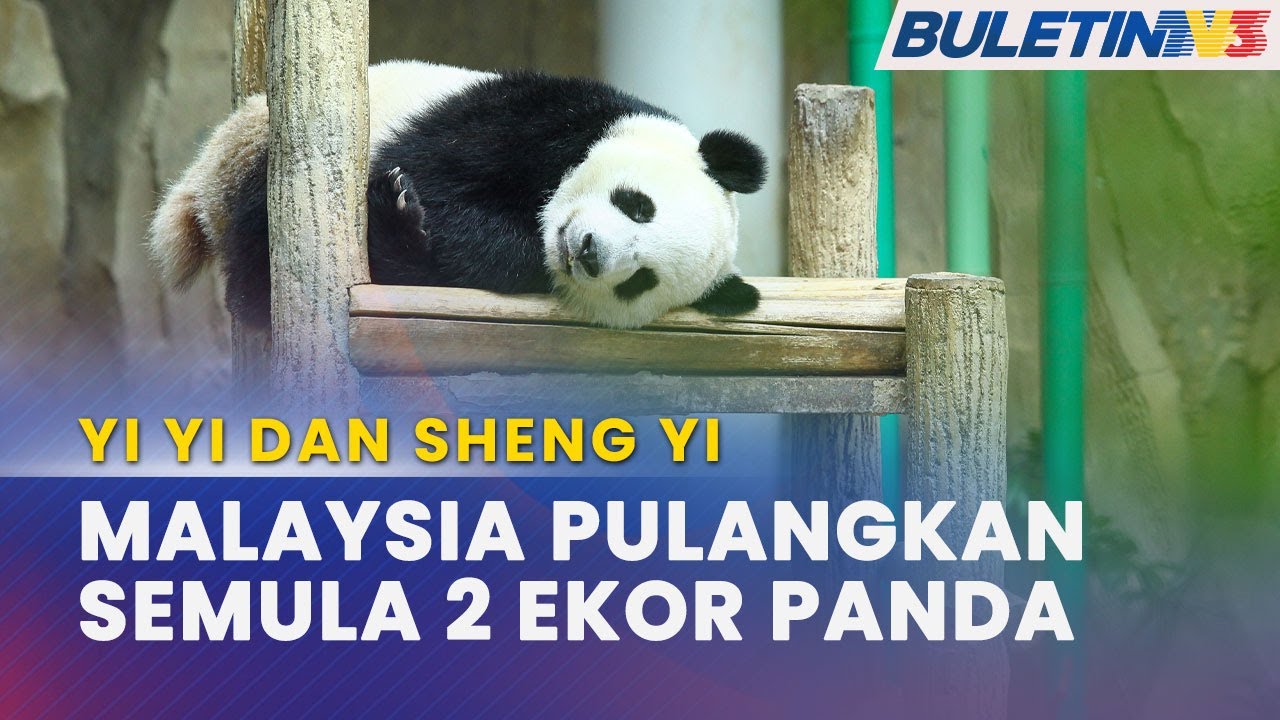 YI YI DAN SHENG YI | Pulang Ke Negara Asal - YouTube