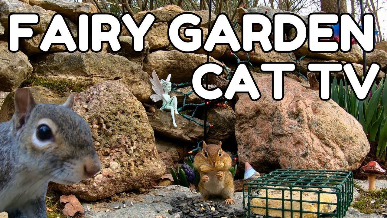 Ultimate Birdwatching Experience for Cats Cat TV | Fairy Garden Birds ...