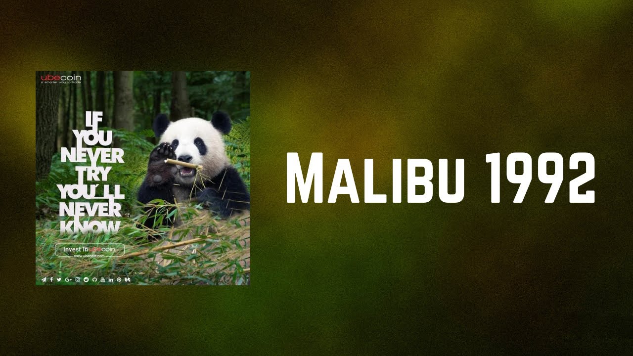 COIN - Malibu 1992 (Lyrics) - YouTube