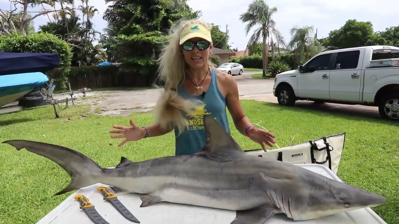How to Fillet A Shark - YouTube