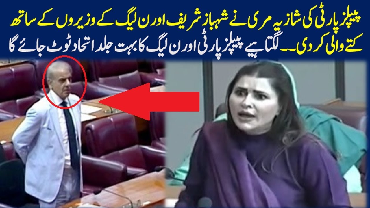 Shazia Marri Strong Response To Shahbaz Sharif and His Ministers - YouTube
