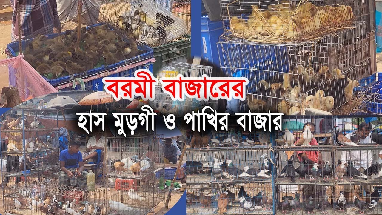 ঐতিহ্যবাহী বরমী বাজারে বুধবারের বুধবারের হাট Barmi Bazar - YouTube