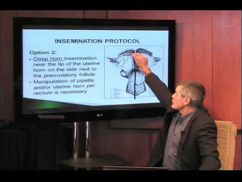 Equine Reproduction Webinar - CSU Equine Reproduction Laboratory