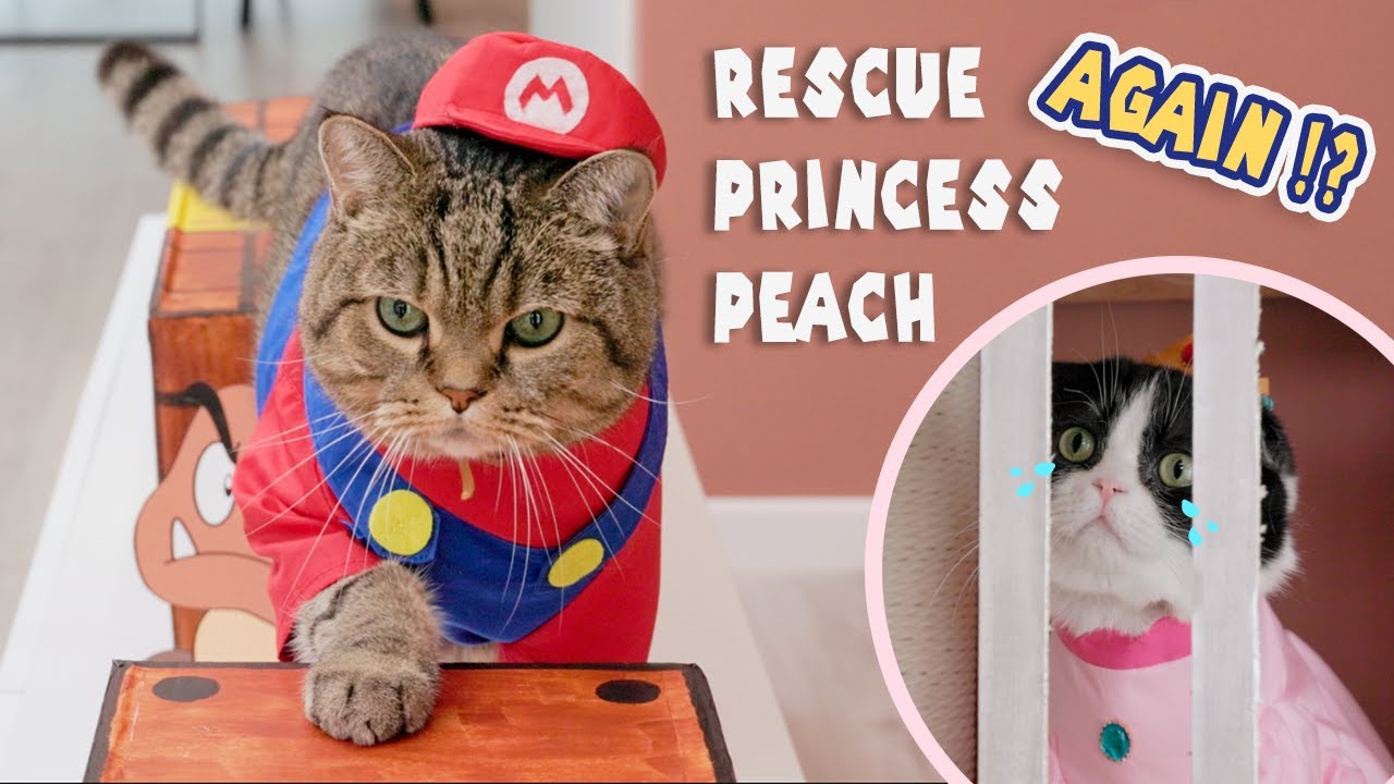 Super Mario Cat Save Princess Peach - YouTube