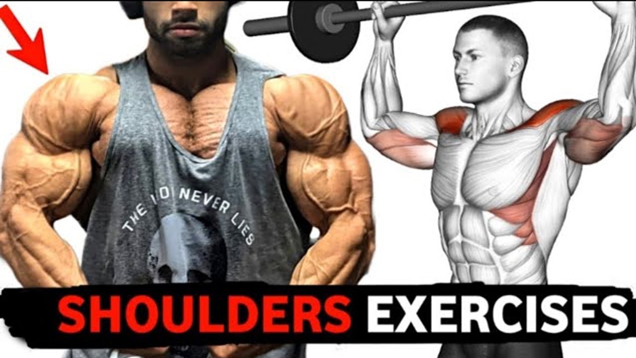 The Best SHOULDERS Exerices For MASS - YouTube