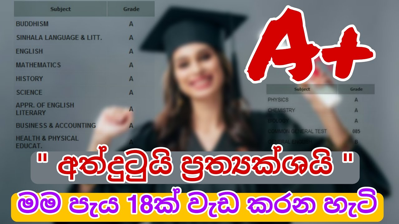 මම පැය 18ක් පාඩම් කරන හැටි | How I Study For 18 Hours | Study Tricks ...