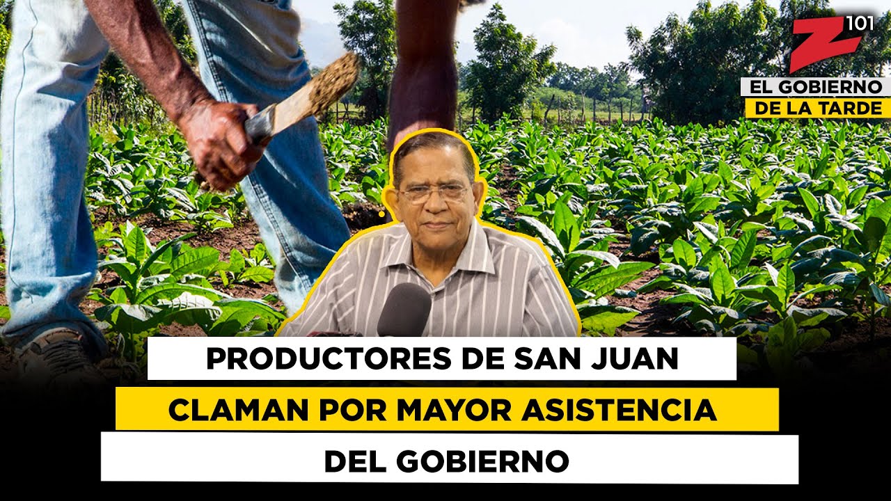Productores de San Juan claman por mayor asistencia del gobierno - YouTube