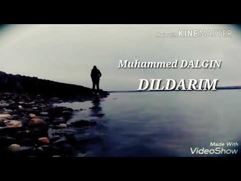 Muhammed DALGIN - DILDARIM YENİ KLİP 2019