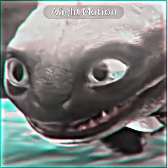 Live action Toothless.That's not so bad.#HTTYD #berk #edit #httyd # ...