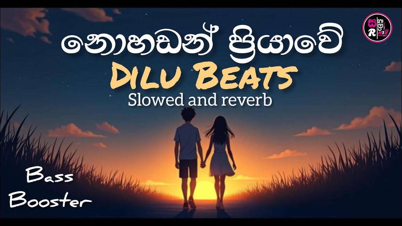 නොහඬන් ප්‍රියාවී - Nohadan Priyawe (Slowed and Reverb) - Dilu Beats ...