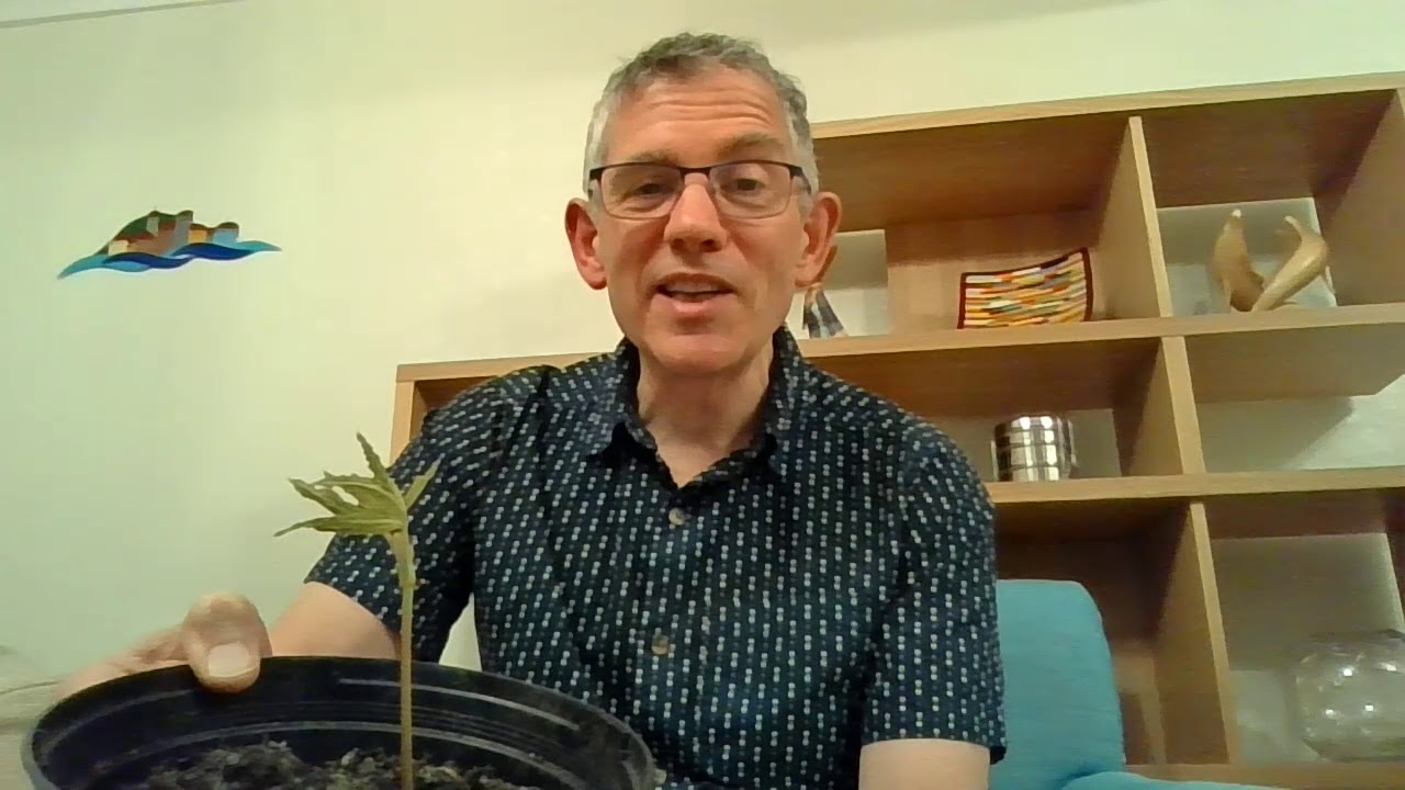 Morning reflection from Andrew Webb | 25th March - YouTube