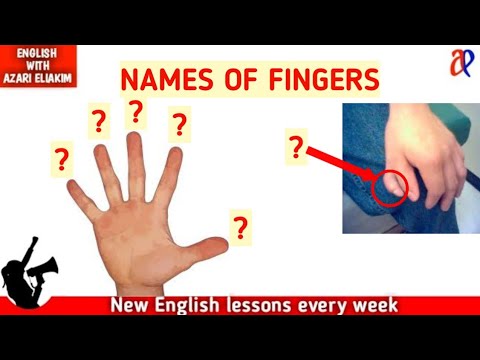 #LearnEnglish Names of fingers | What's the name of the sixth finger ...