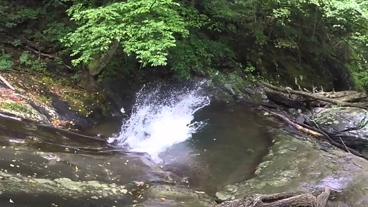 Cliff jumping in virginia - YouTube