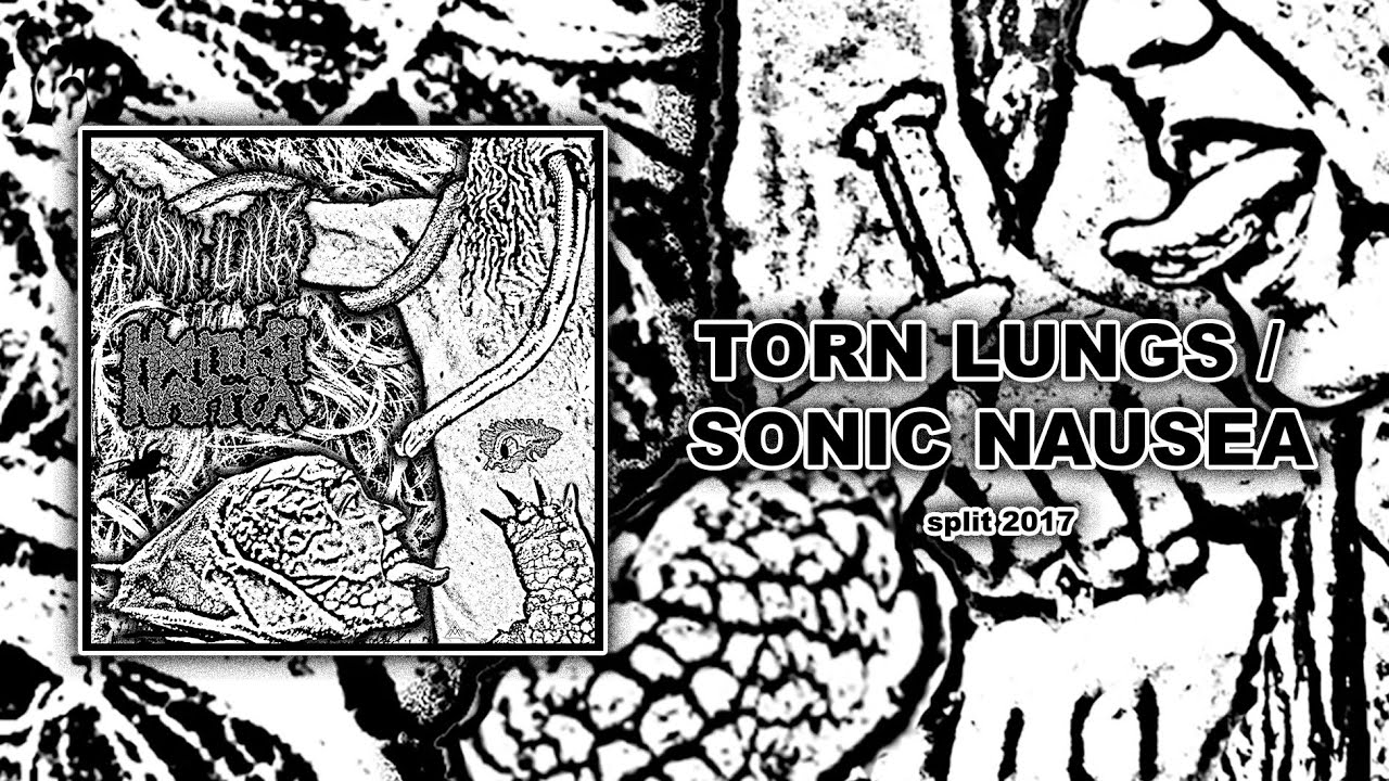 TORN LUNGS / HXHTIKH NAYTIA (SONIC NAUSEA) split - YouTube