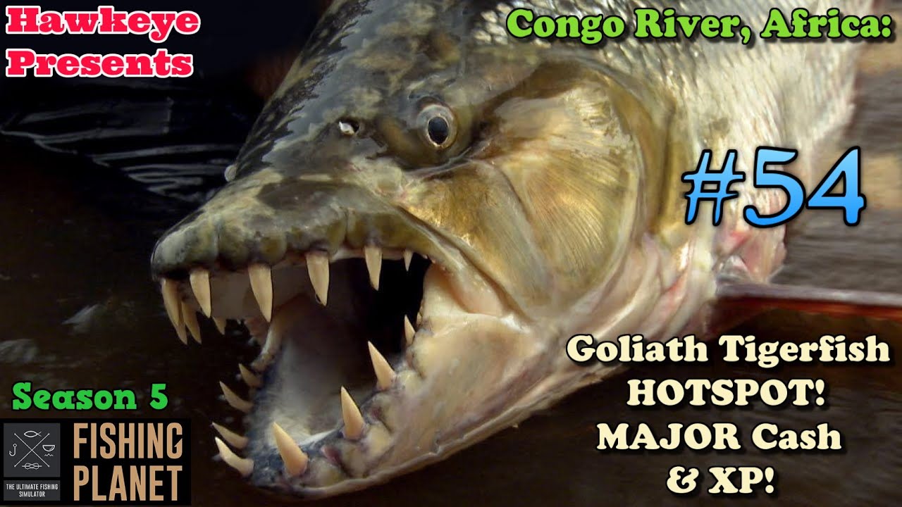 Fishing Planet #54 - S5: Congo River, Africa - Goliath Tigerfish ...