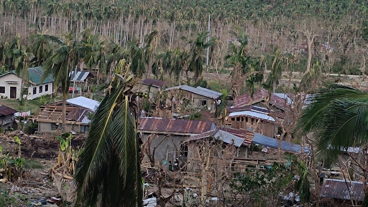 Hagupit ni Bagyong Pepito sa Brgy. Ditawini, Dinalungan, Aurora - YouTube