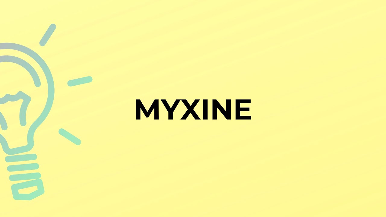 What is the meaning of the word MYXINE? - YouTube