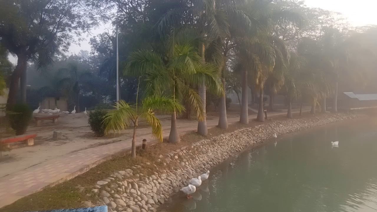 HAL Korwa Amethi Lake vlogs || Enjoyment movement's with 🦆🪿🪽🫣🫢😊 - YouTube