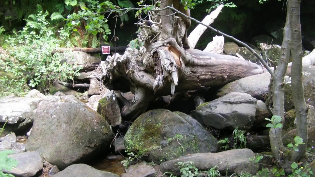 Goathland part 2 Beck Hole Waterfall - YouTube