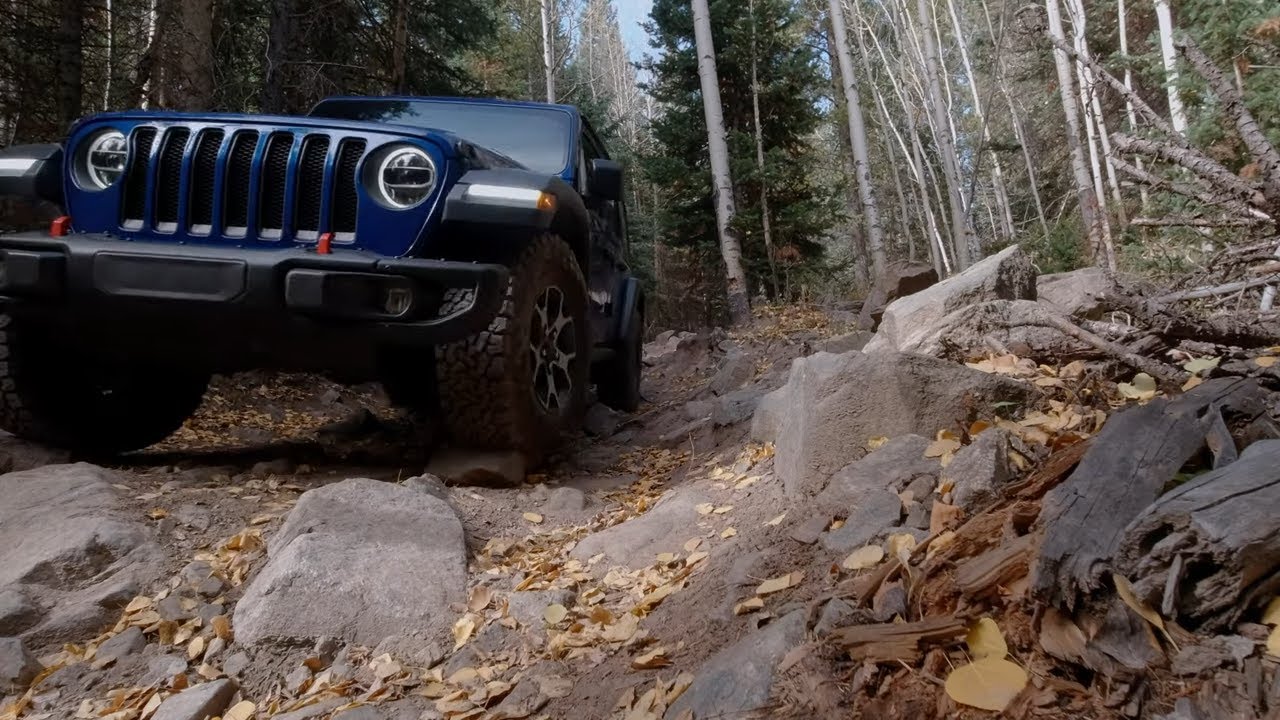 Offroad Fun on Bunce School Road - YouTube