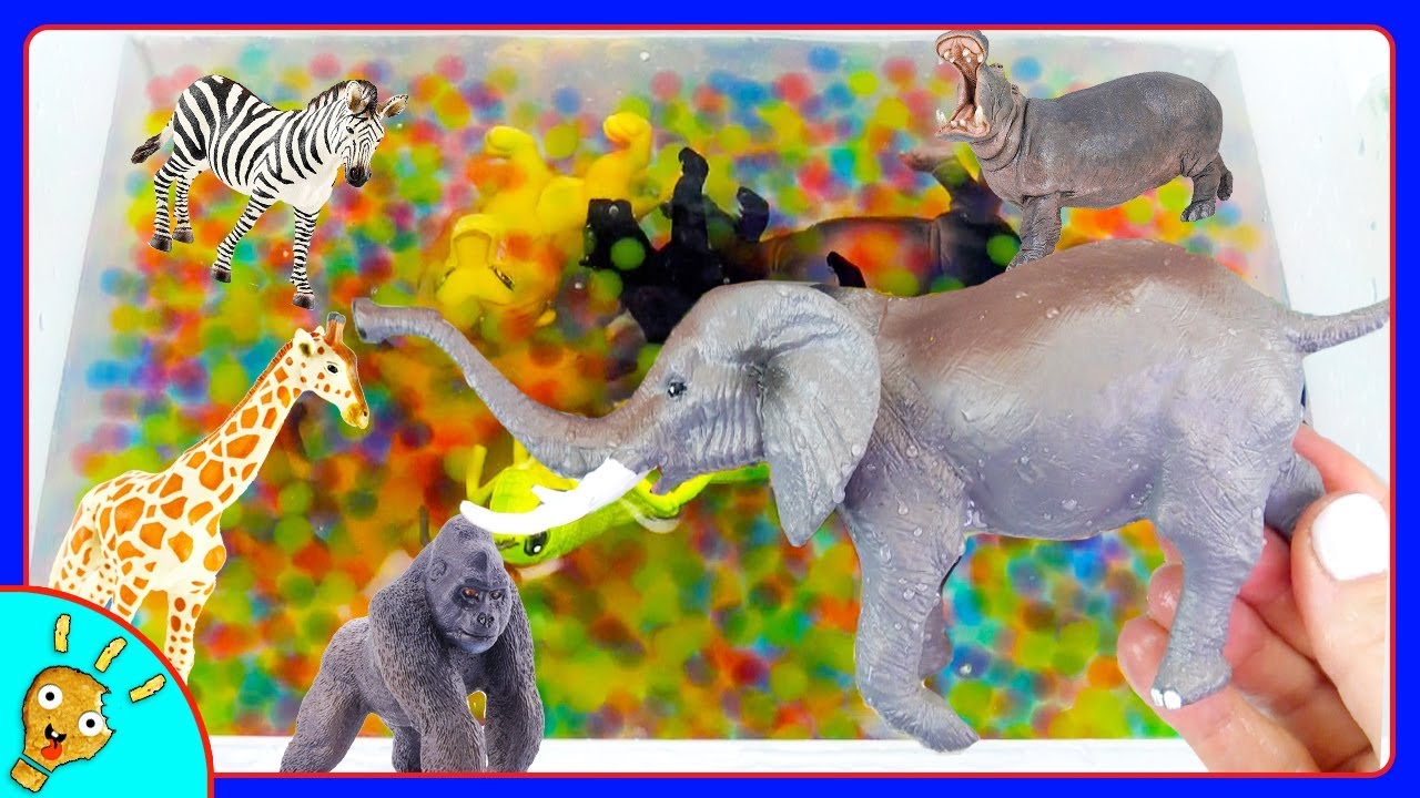Learn ZOO Animals Wild Animals in ORBEEZ Tub with Squishee Nugget - YouTube