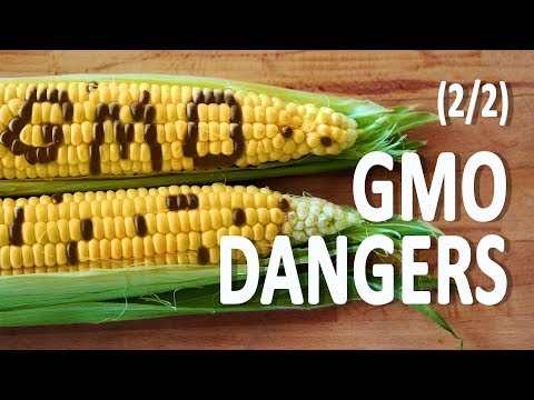 Gentechnik —Versteckter Killer unserer Gesundheit 2/2