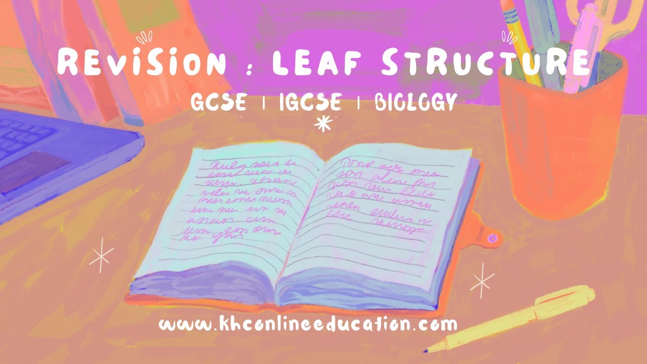 Revision Plant Nutrition GCSE IGCSE Leaf Structure Online Tuition - YouTube
