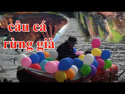 Bộ thuyền Câu rực rở giữa rừng trúng toàn cá bự