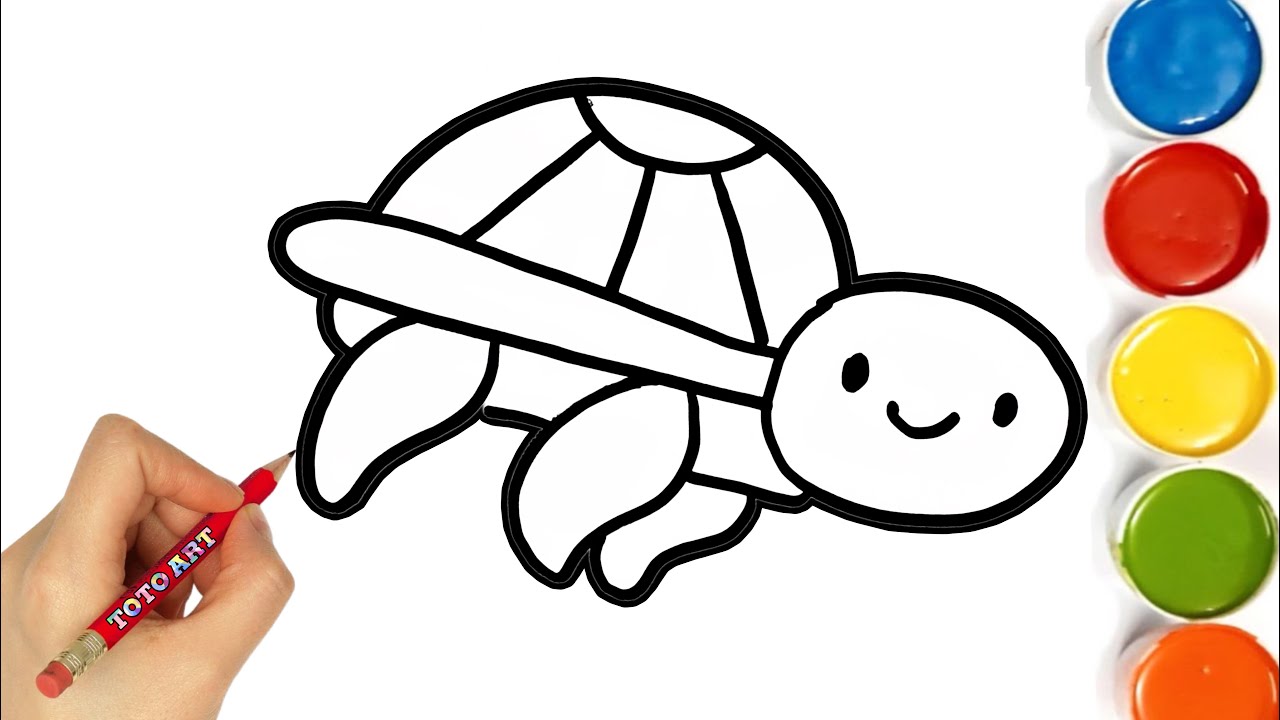 How to draw Cute Turtle -Colouring for Kids & Toddlers |Draw, Paint and ...