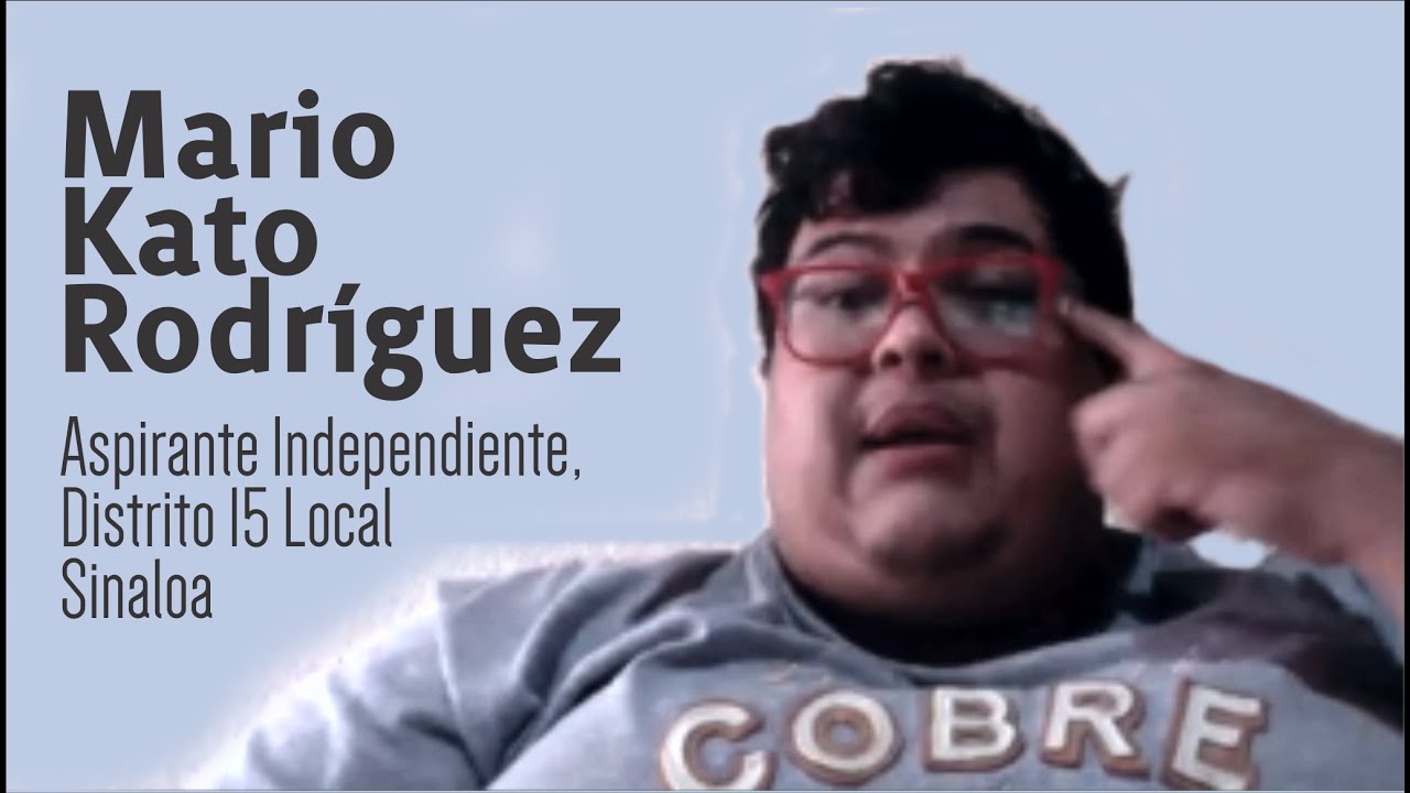 Candidaturas independientes en Sinaloa, hay que reformar la ley: Mario ...