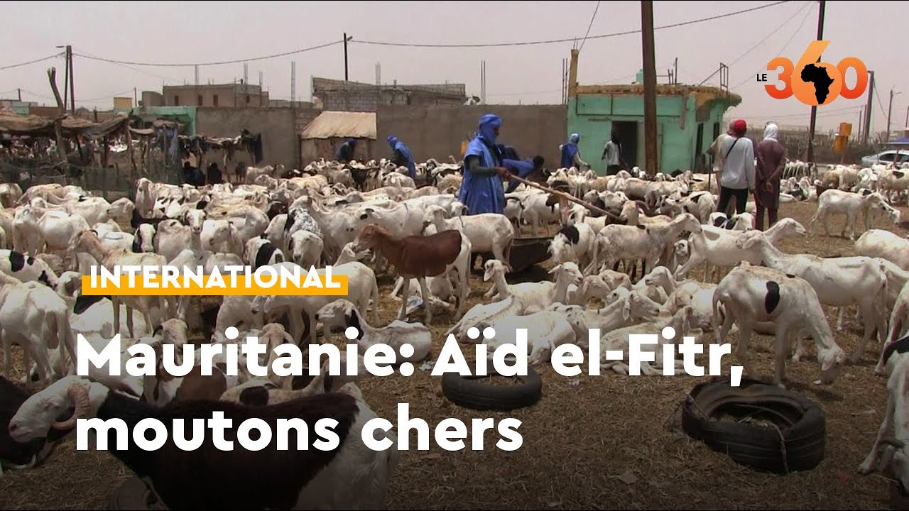 Mauritanie: moutons chers et clients rares à la veille de l'Aïd el-Fitr ...