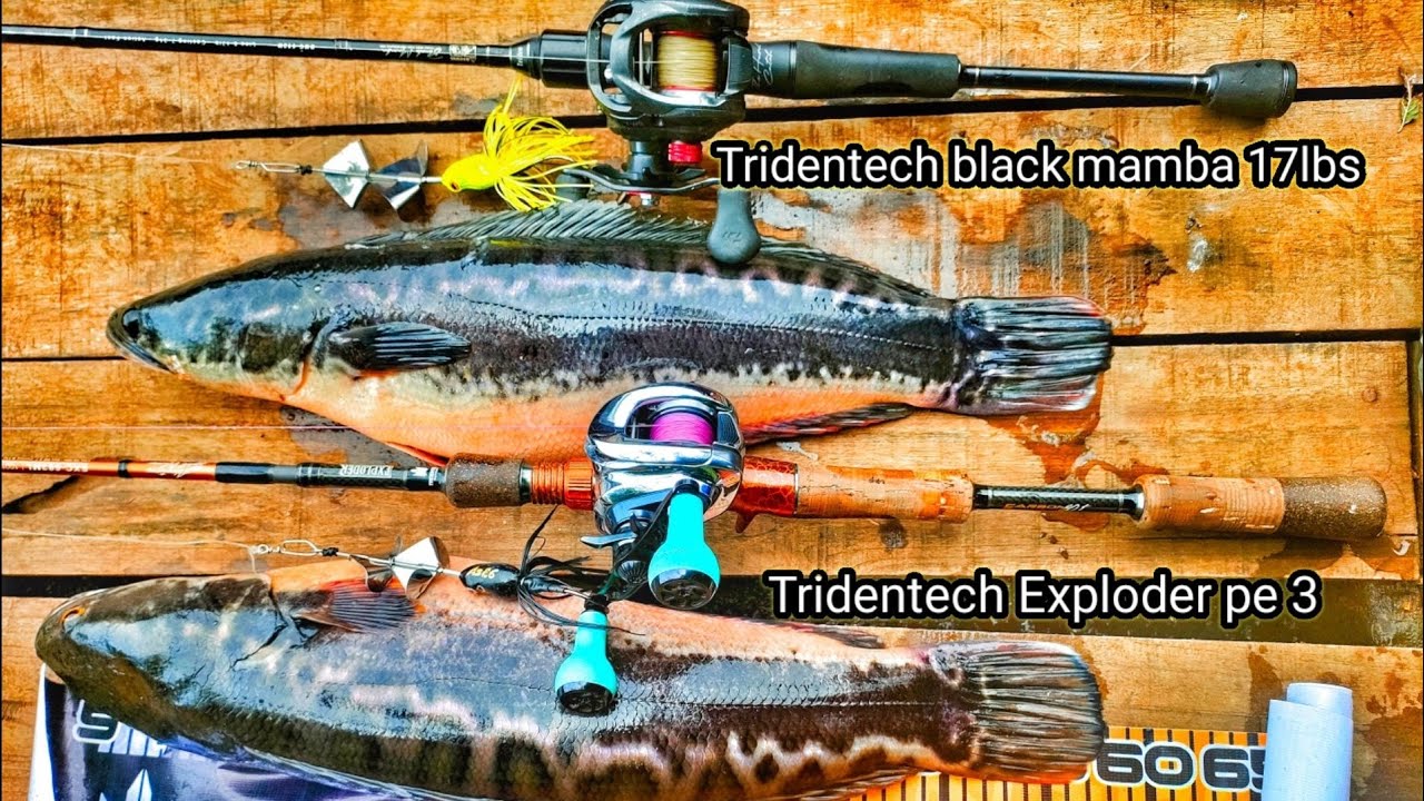 mission complete Tridentech exploder dan tridentech black mamba strike ...