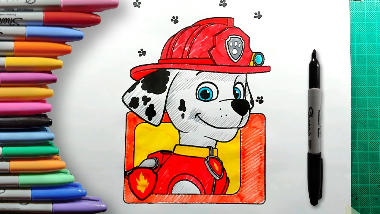 How to Color Marshall from Paw Patrol Step by Step Easy Coloring pages ...