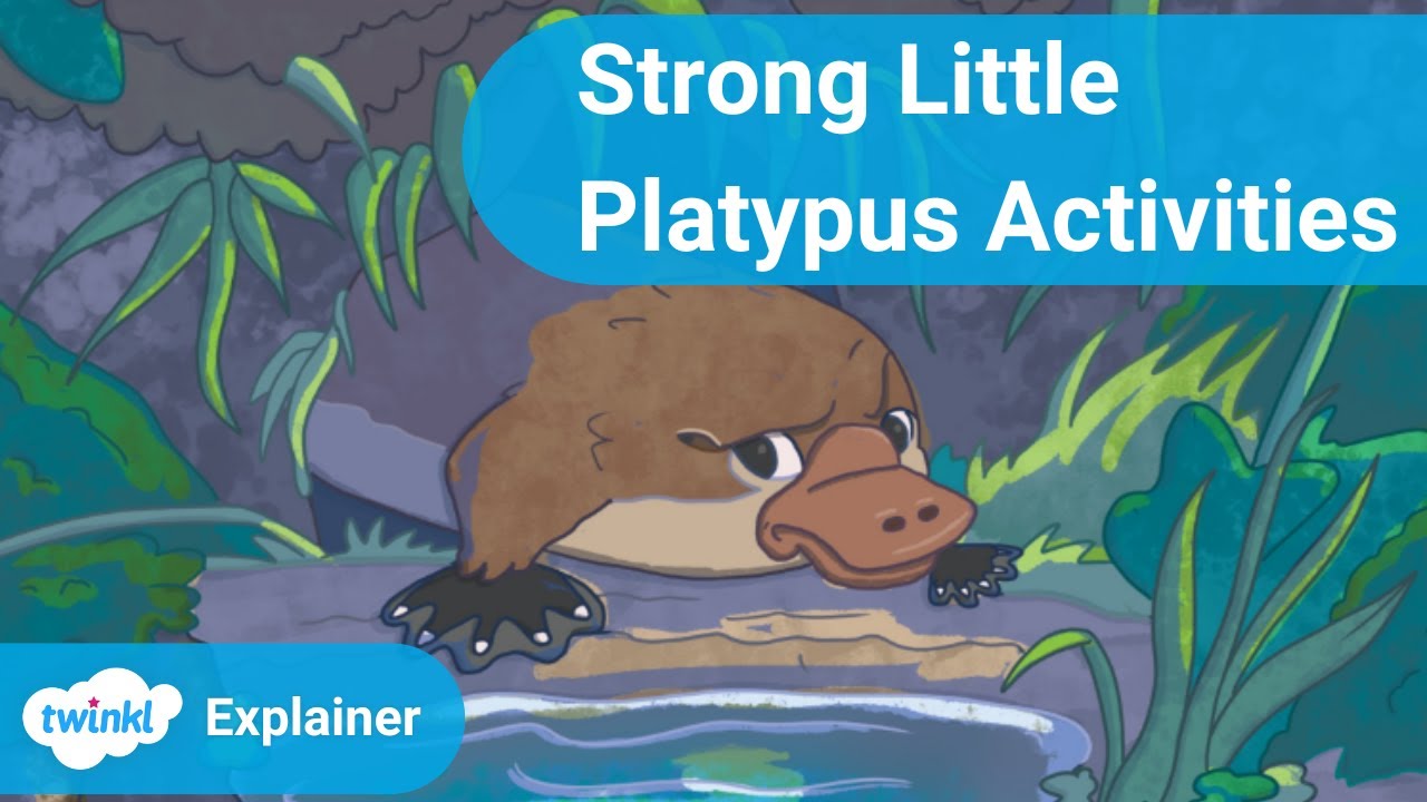 Strong Little Platypus: F-2 Activities for Kids - YouTube